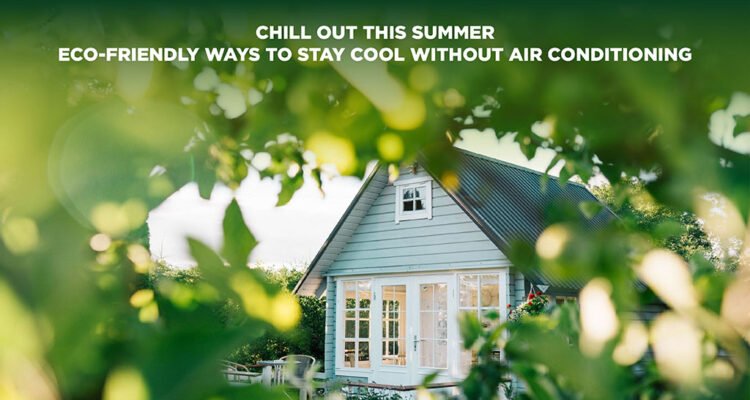 Chill Out This Summer: Eco-Friendly Ways to Stay Cool Without Air ...